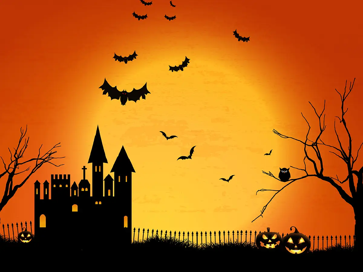 Halloween at Marine World , the Spooky Horror House Adventure